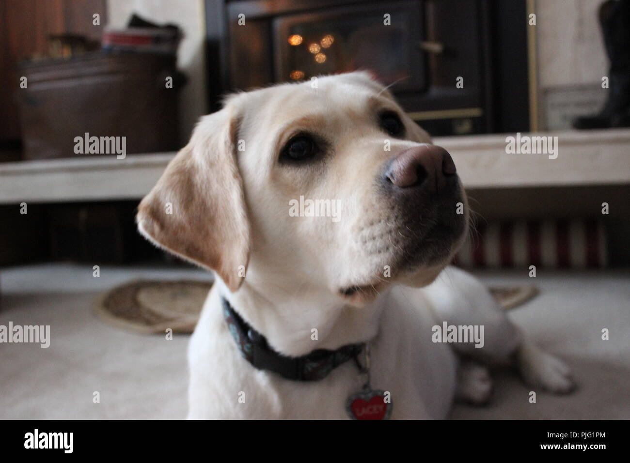 Old female lab coat hi-res stock photography and images - Alamy