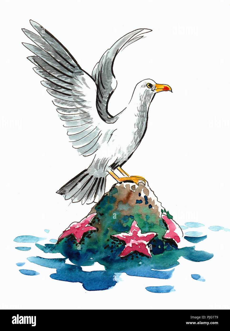 Seagull Sketch Stock Photos & Seagull Sketch Stock Images - Alamy