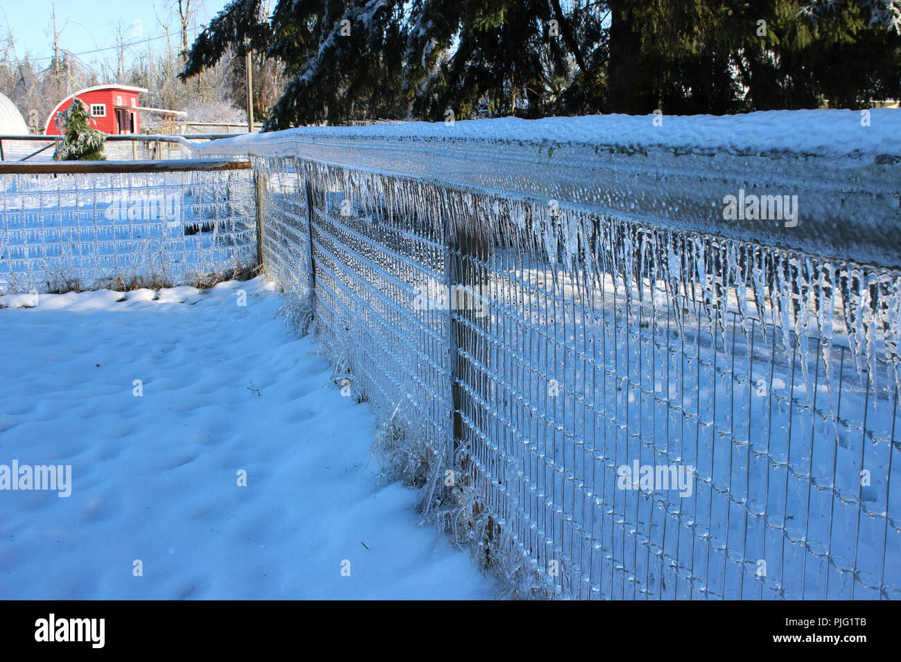 Frozen yard hi-res stock photography and images - Alamy