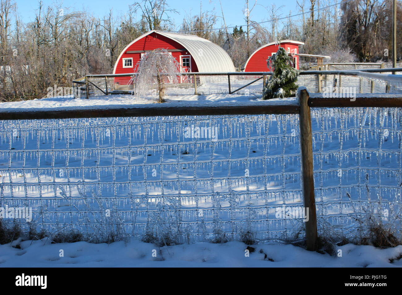 Barnyard after ice storm Stock Photo - Alamy