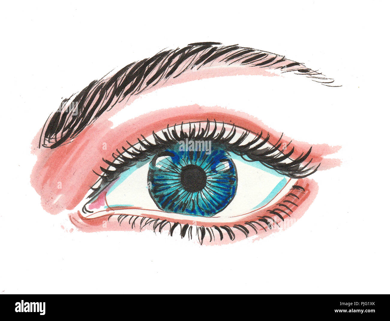 Beautiful female blue eye. Ink and watercolor illustration Stock Photo ...