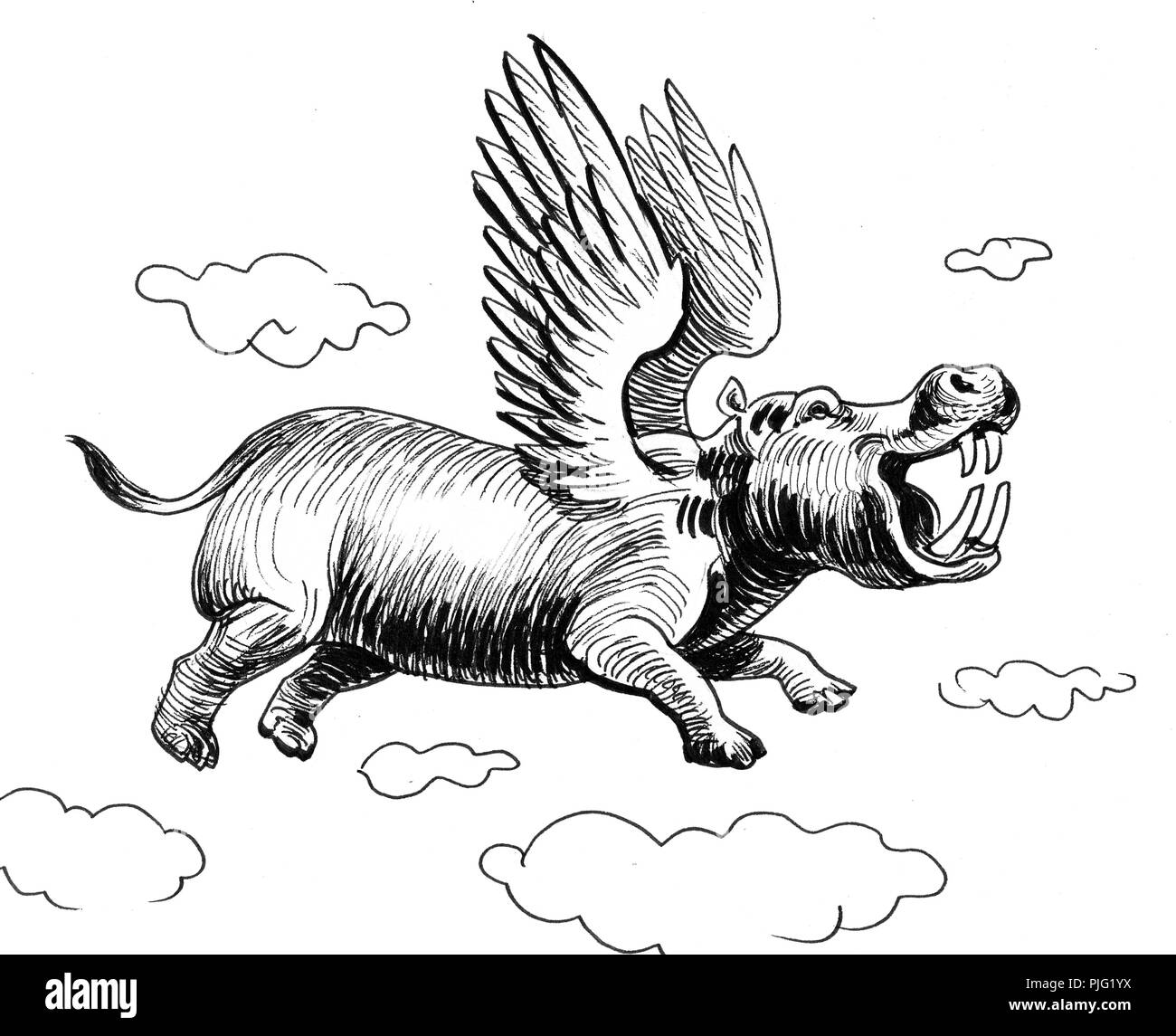 Flying hippopotamus. Ink black and white drawing Stock Photo - Alamy
