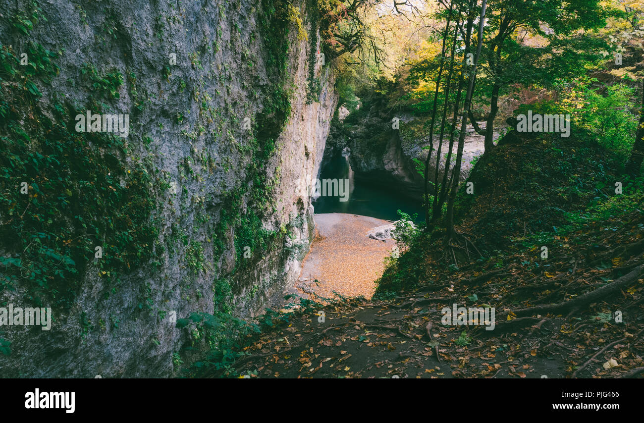 mysterious forest with cliffs and the river with bluish green water ...