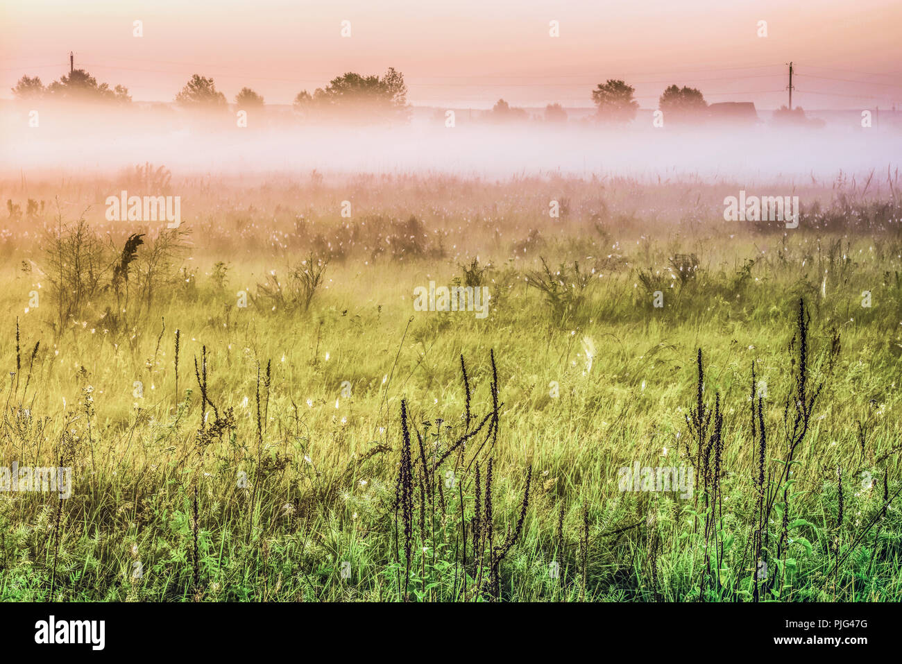 Misty meadow hi-res stock photography and images - Alamy