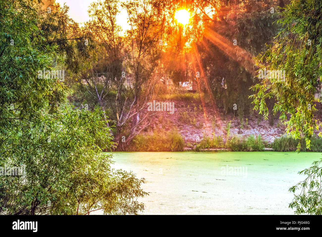 Dawn on a rural pond near Kiev, Ukraine Stock Photo - Alamy