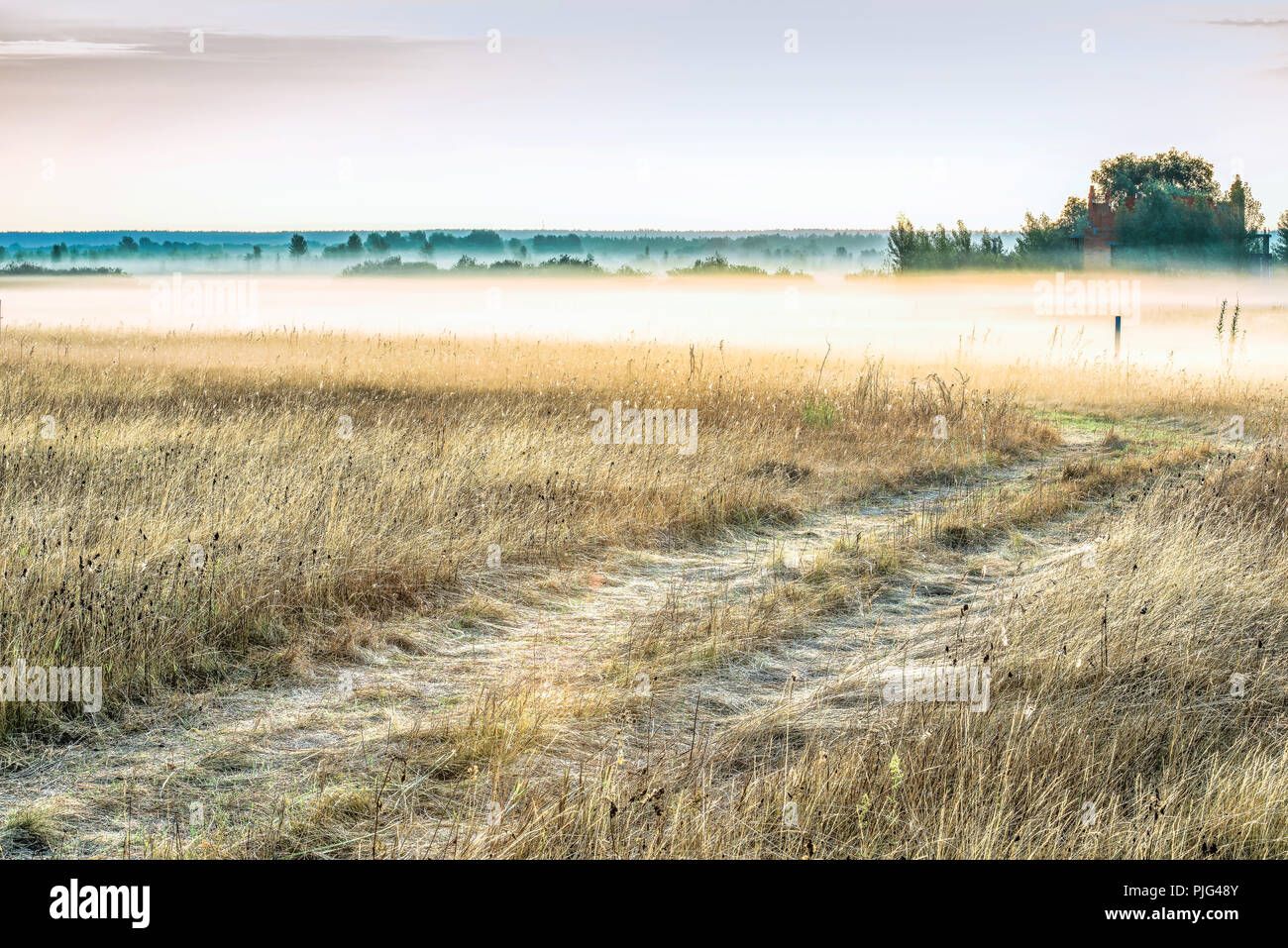 Beautiful misty meadow in hi-res stock photography and images - Alamy