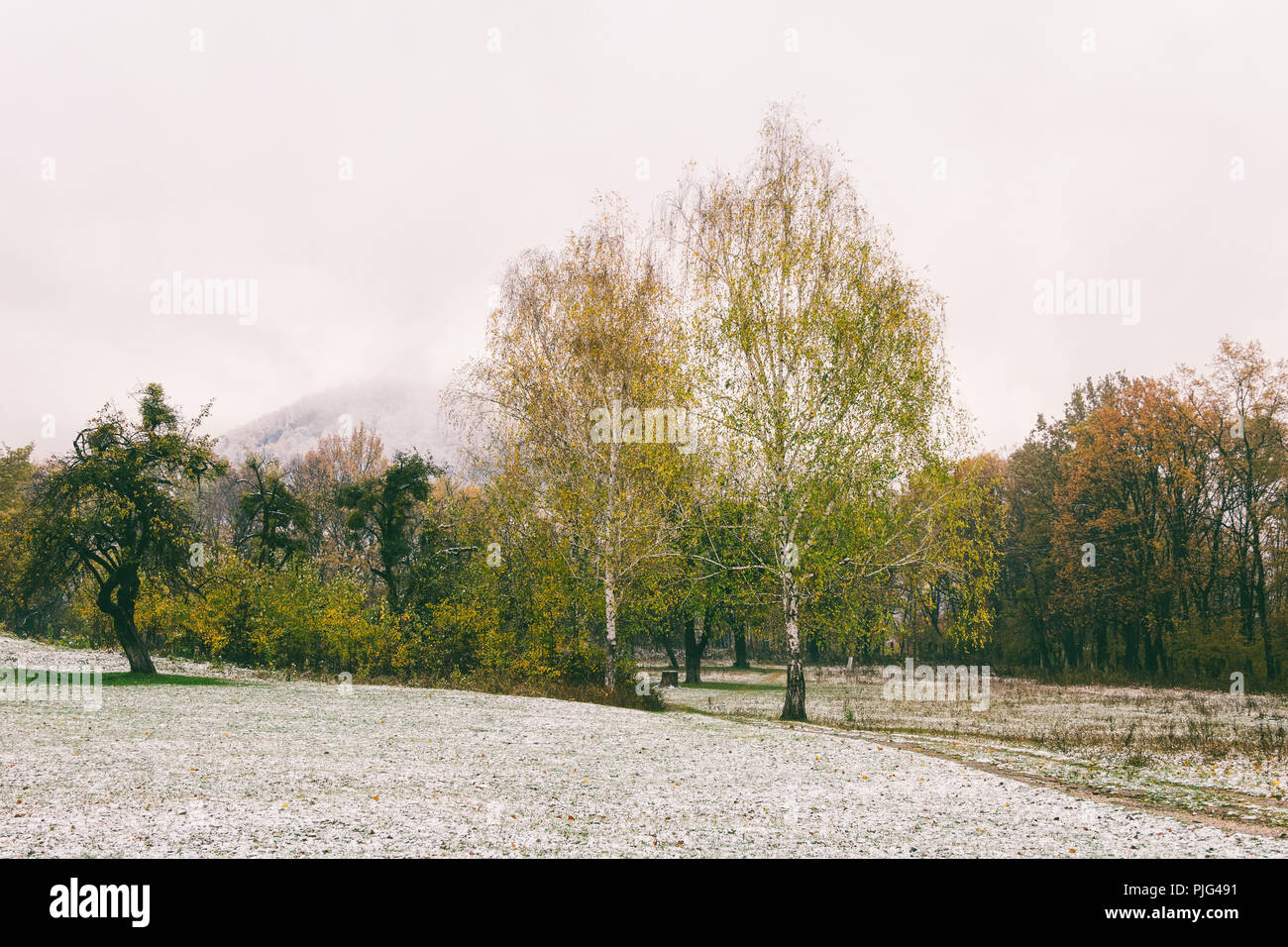 fallen first snow in the autumn park Stock Photo - Alamy