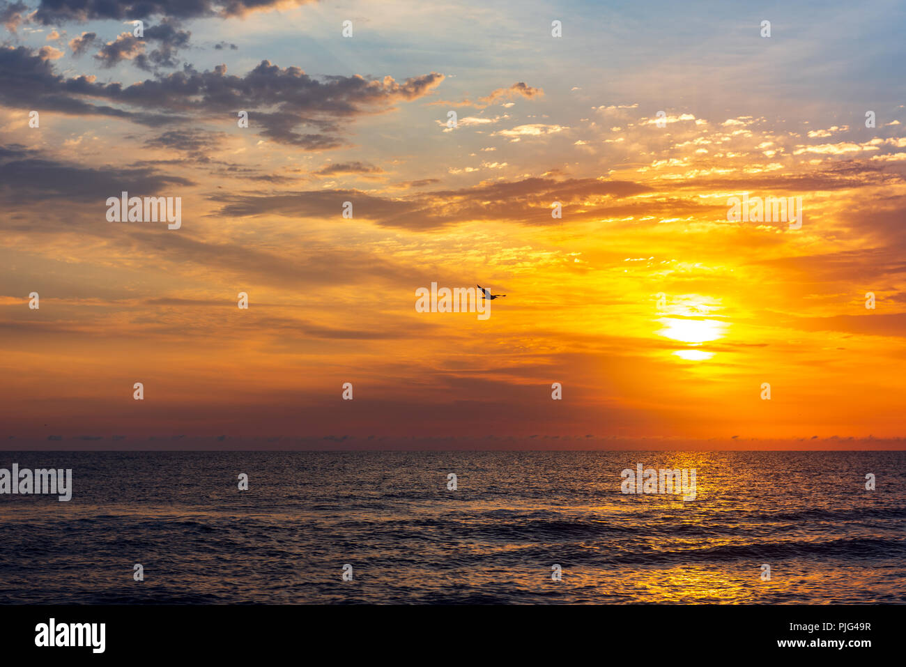 Flight over golden ocean water hi-res stock photography and images - Alamy