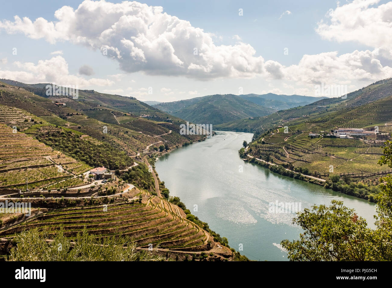 Douro Valley in Portugal Stock Photo - Alamy