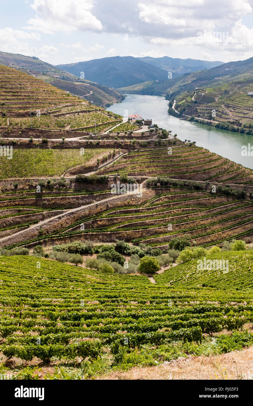 Douro Valley in Portugal Stock Photo - Alamy