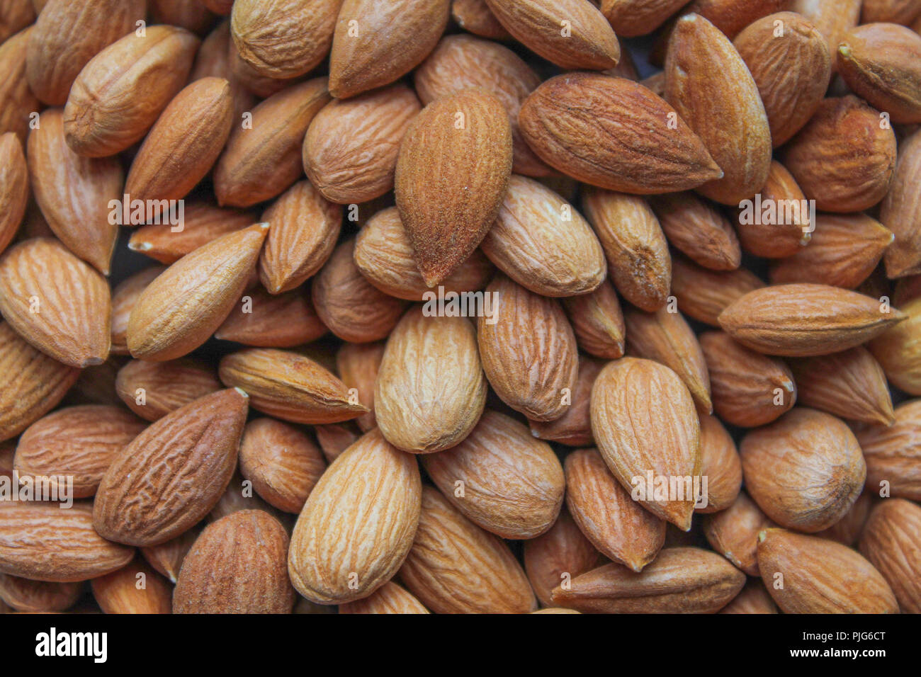 Apricot seeds close up, macro background texture. Brown apricot core ...