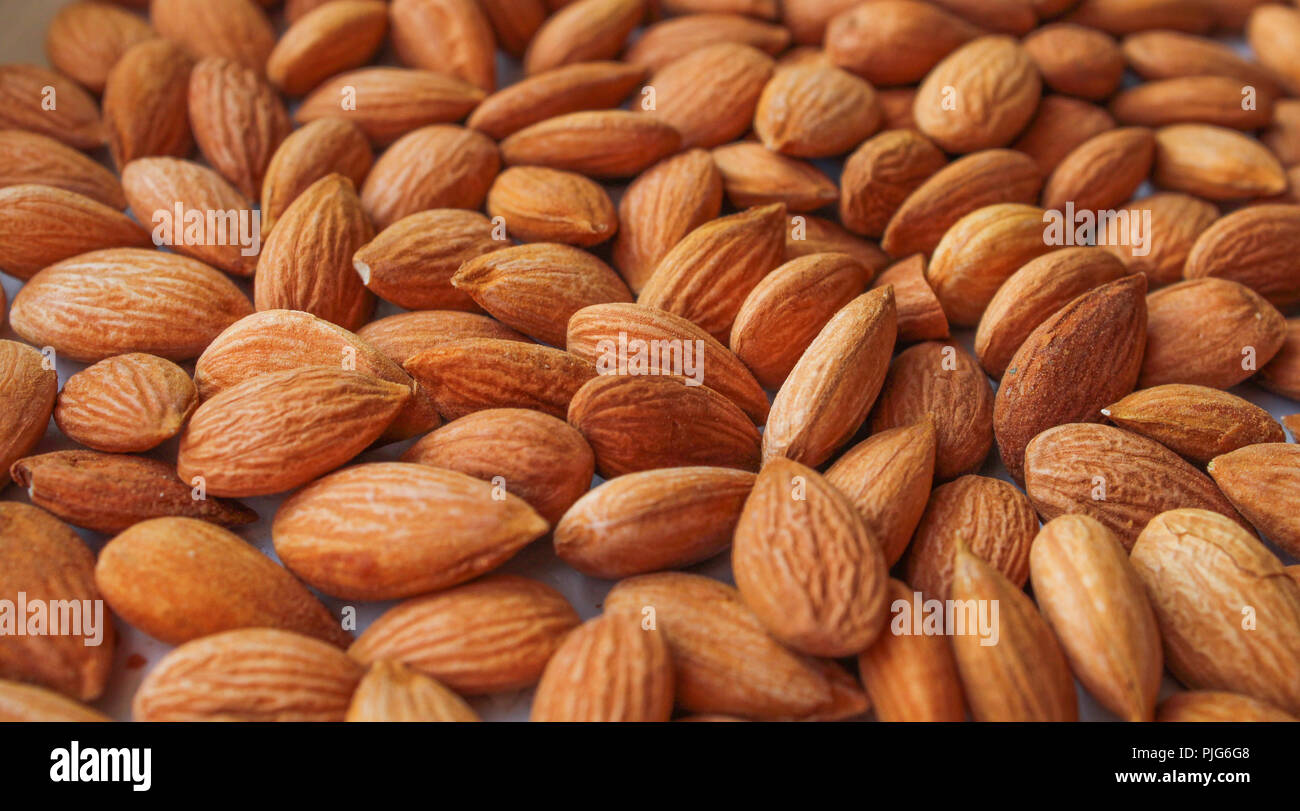 Apricot seeds close up, macro background texture. Brown apricot core ...
