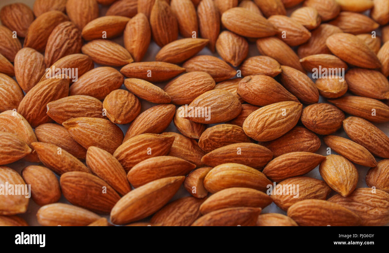 Apricot seeds close up, macro background texture. Brown apricot core ...