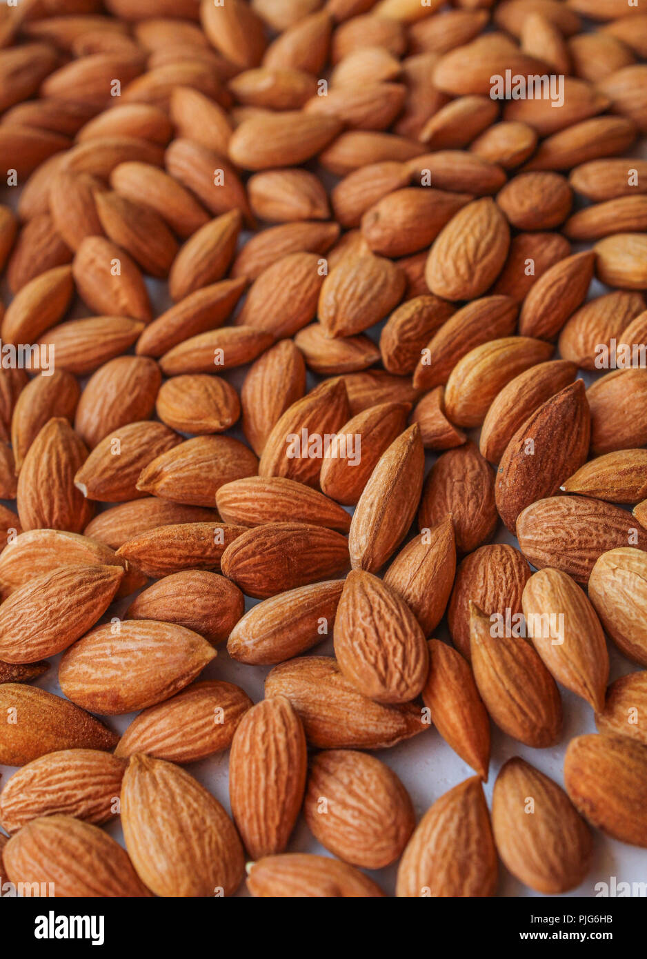 Apricot seeds close up, macro background texture. Brown apricot core ...
