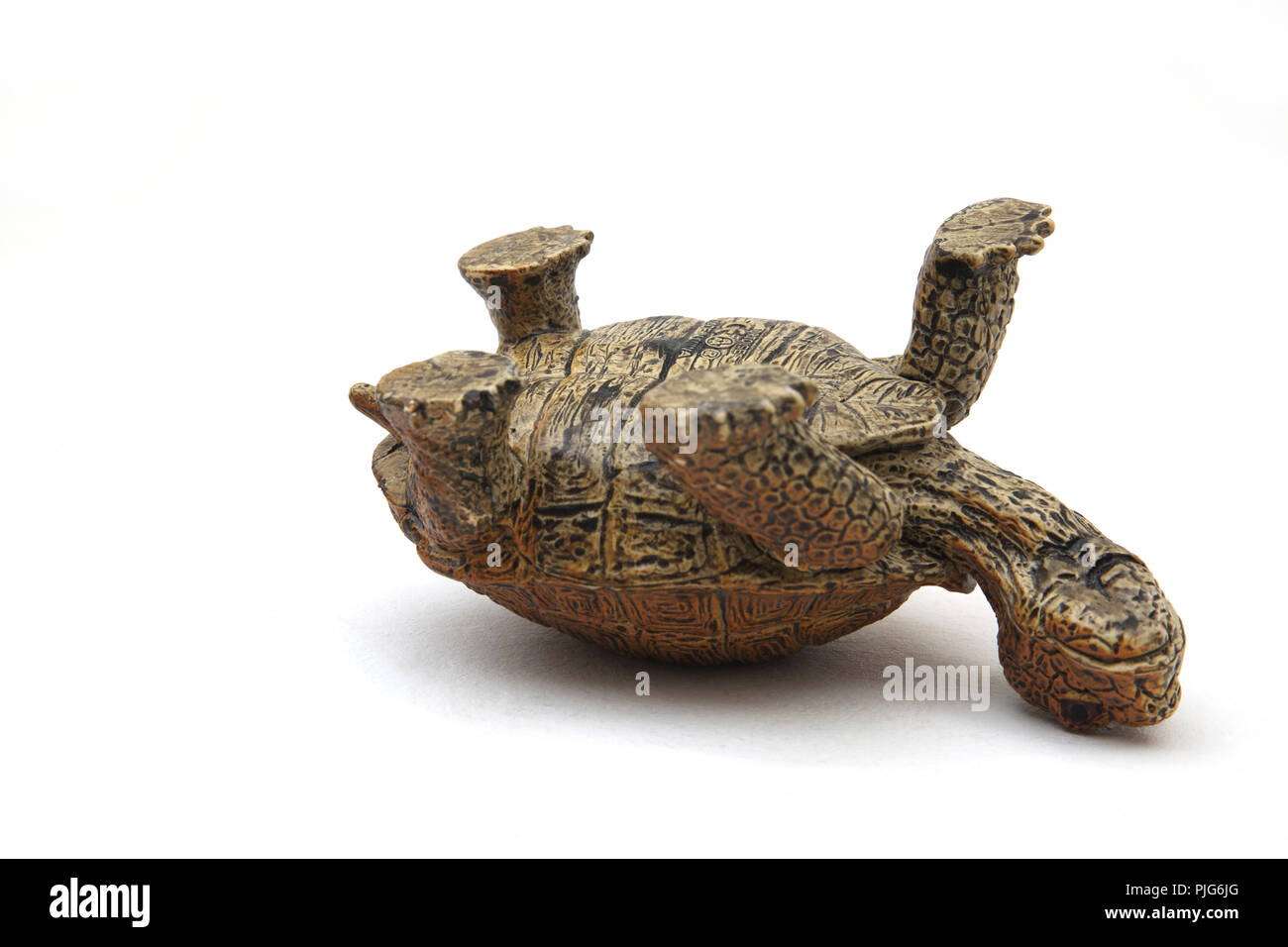 Model of a Giant Tortoise made in China Stock Photo - Alamy