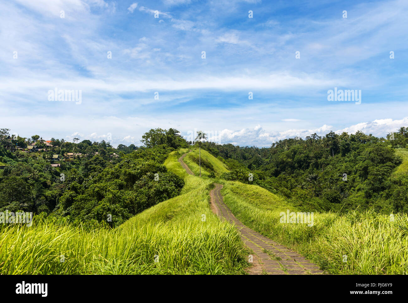 Famous Campuhan ridge walk in Ubud, Bali, Indonesia Stock Photo - Alamy