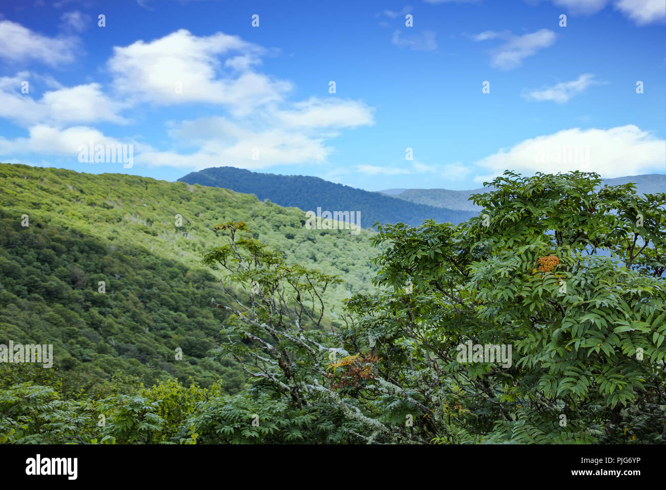 Many Green Hills in Blue Ridge Mountains Stock Photo - Alamy