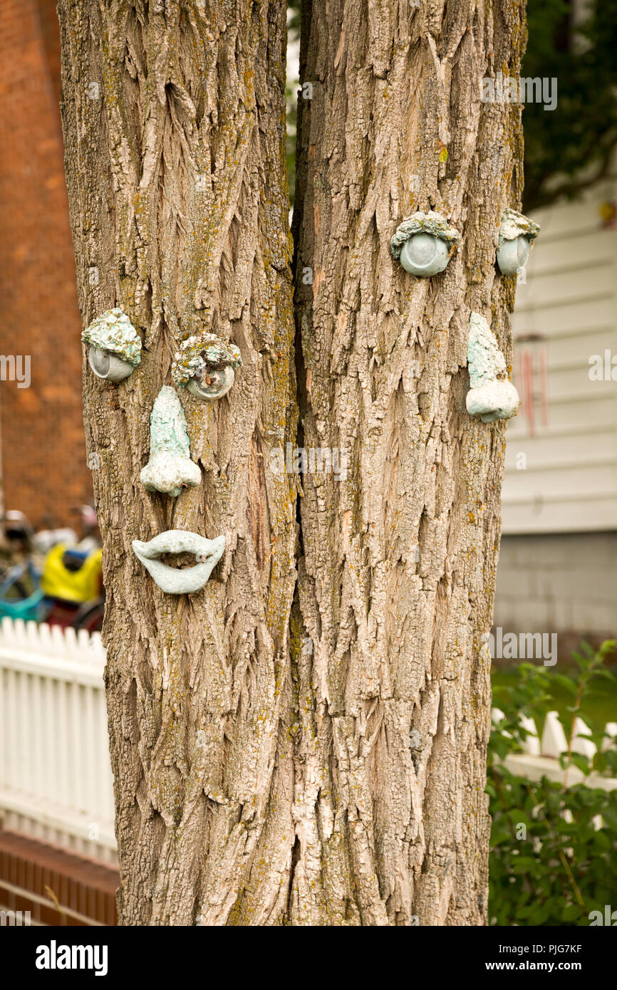 Face type sculpture on trees in Michigan on Mackinac Island Stock Photo ...