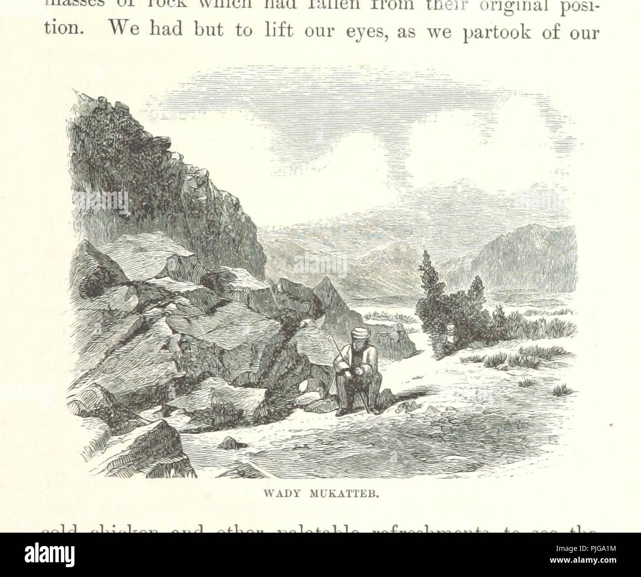 Image from page 233 of 'From Egypt to Palestine through Sinai, the ...
