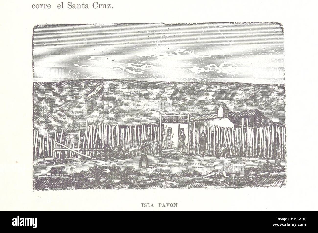Image from page 237 of 'Viaje á la Patagonia austral emprendido bajo los auspicios del Gobierno ...