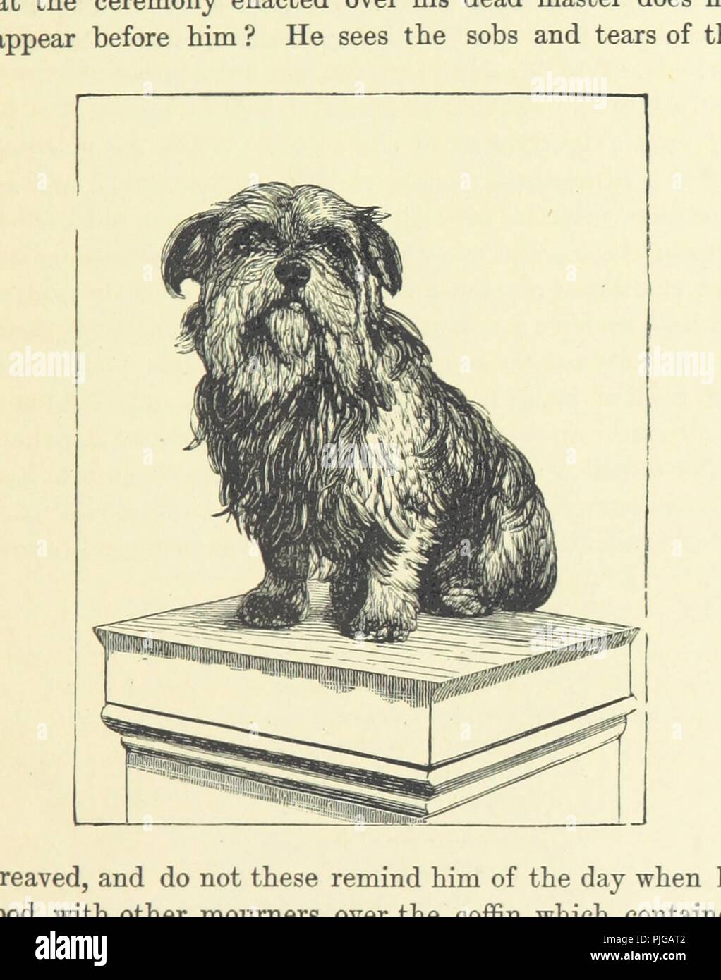 Image from page 243 of 'Aileen Aroon a memoir [of a dog]. With other tales of faithful friends ...