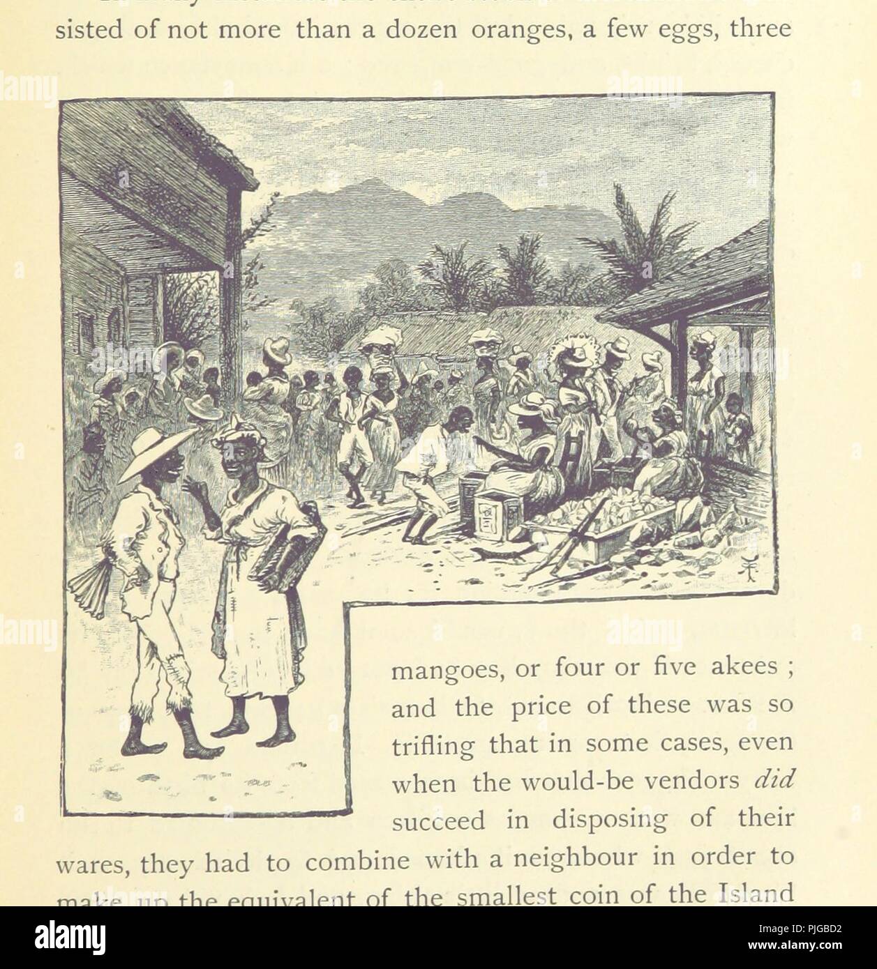Image from page 249 of '[In the Trades, the Tropics, & the Roaring ...