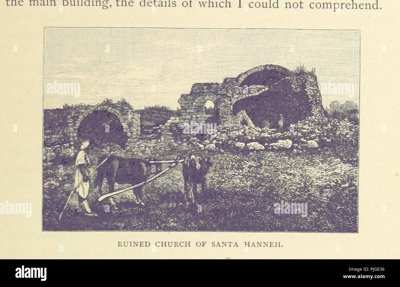 Image from page 285 of '[The Land and the Book; or, Biblical ...