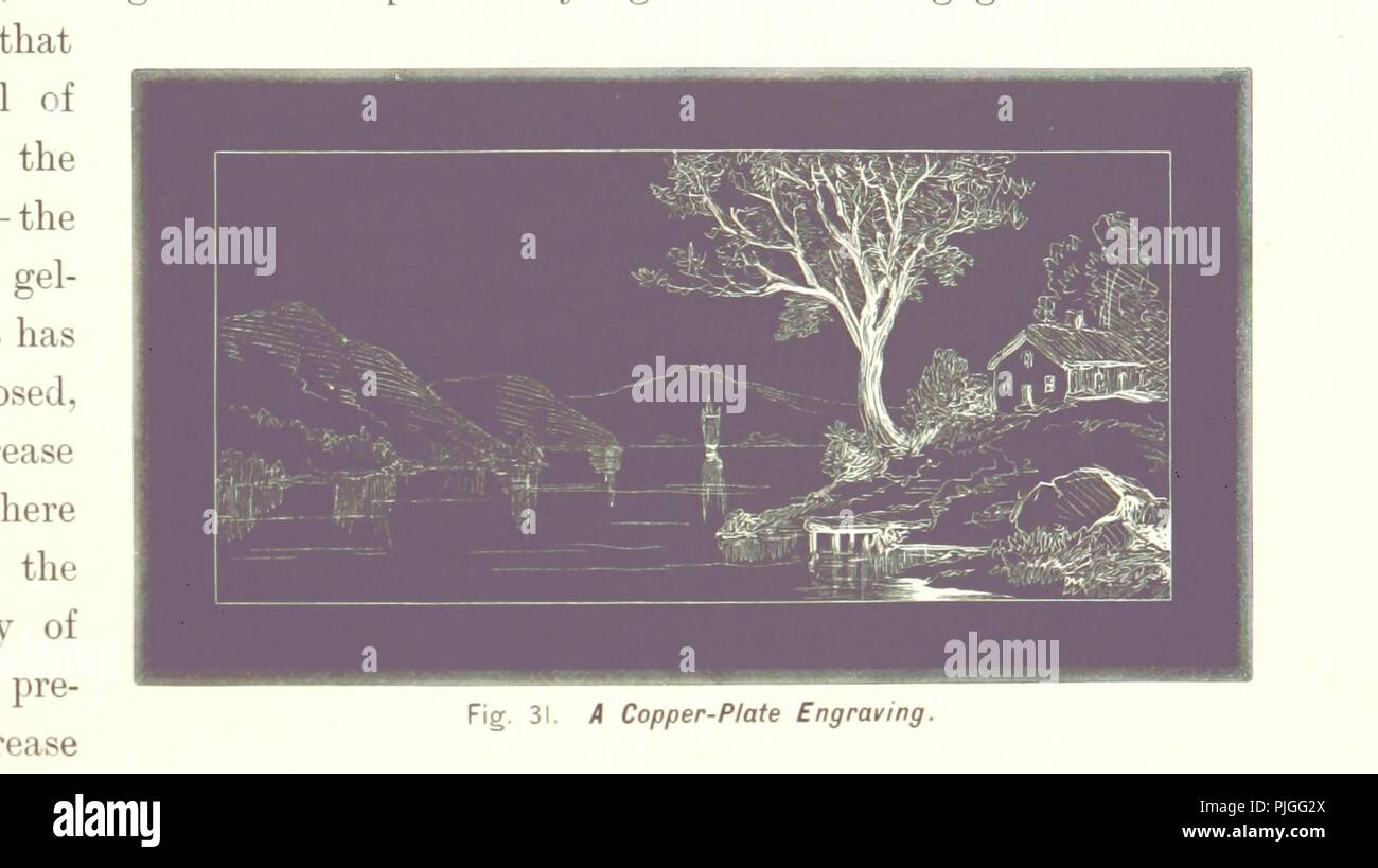 Image from page 315 of 'Gately's World's Progress. A general history of ...