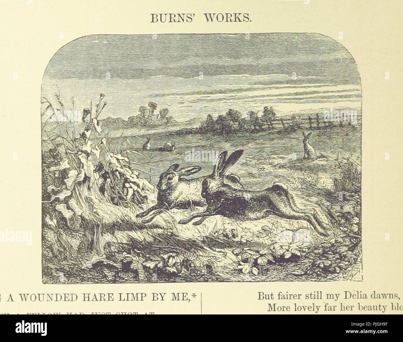 Image from page 334 of 'The National Burns. Edited by Rev. George ...