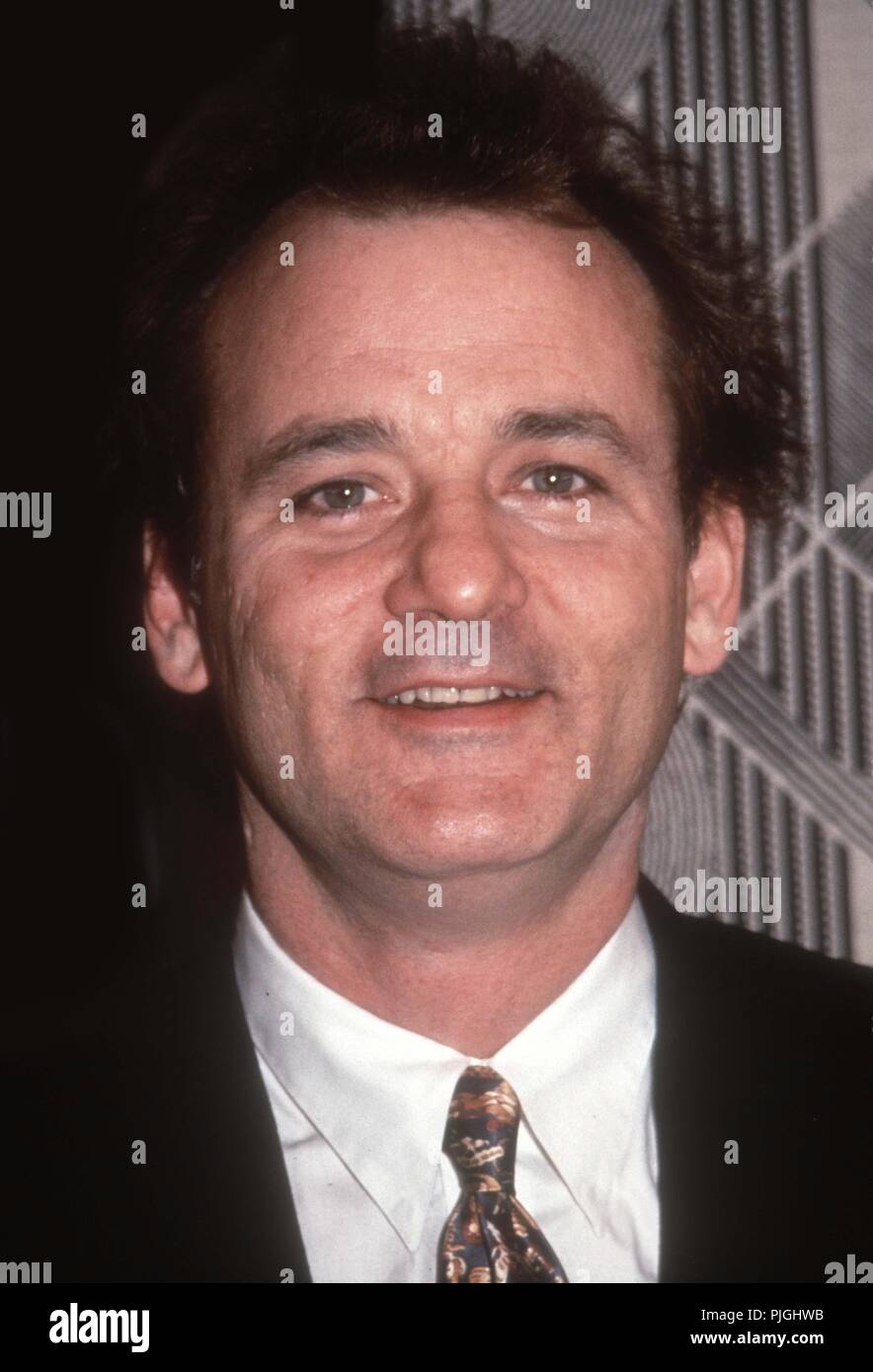 Bill Murray in 1992 Credit: Adam Scull/Photolink/MediaPunch Stock Photo ...