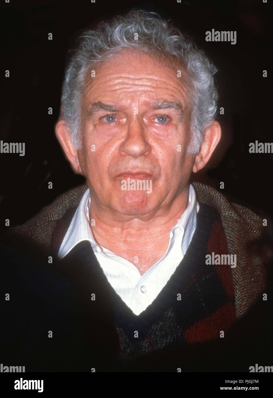 Norman Mailer 1989 Credit: Adam Scull/Photolink/MediaPunch Stock Photo ...