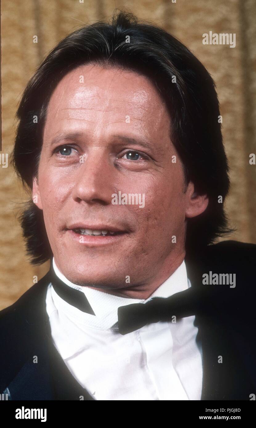 PeterStrauss 1982 Credit: Adam Scull/Photolink/MediaPunch Stock Photo ...