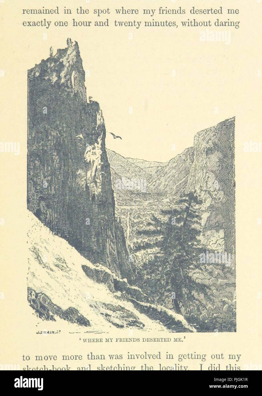 Image from page 357 of 'Sunny Lands and Seas. A voyage in the SS ...