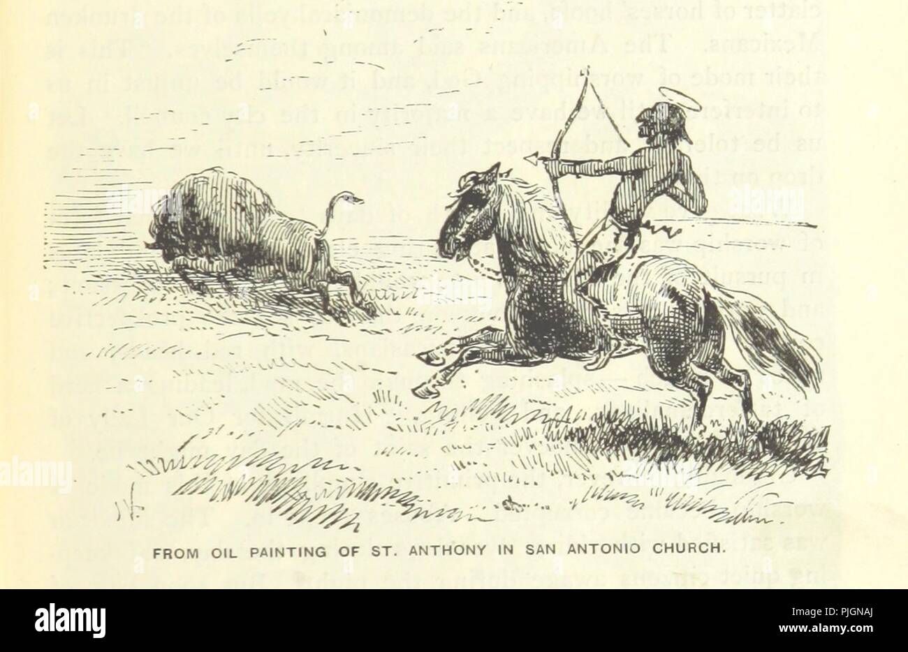 Image from page 397 of 'On a Mexican Mustang through Texas . With ...