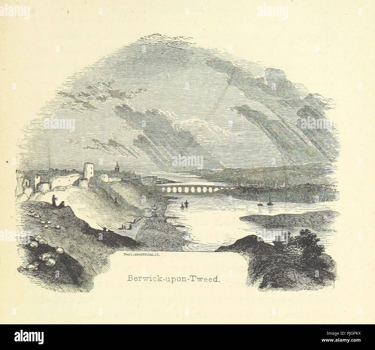Image from page 421 of 'New edition, condensed. The illustrations . by ...