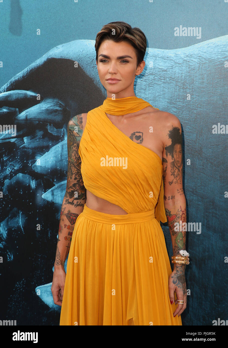 Warner Bros. Pictures And Gravity Pictures' Premiere Of "The Meg ...