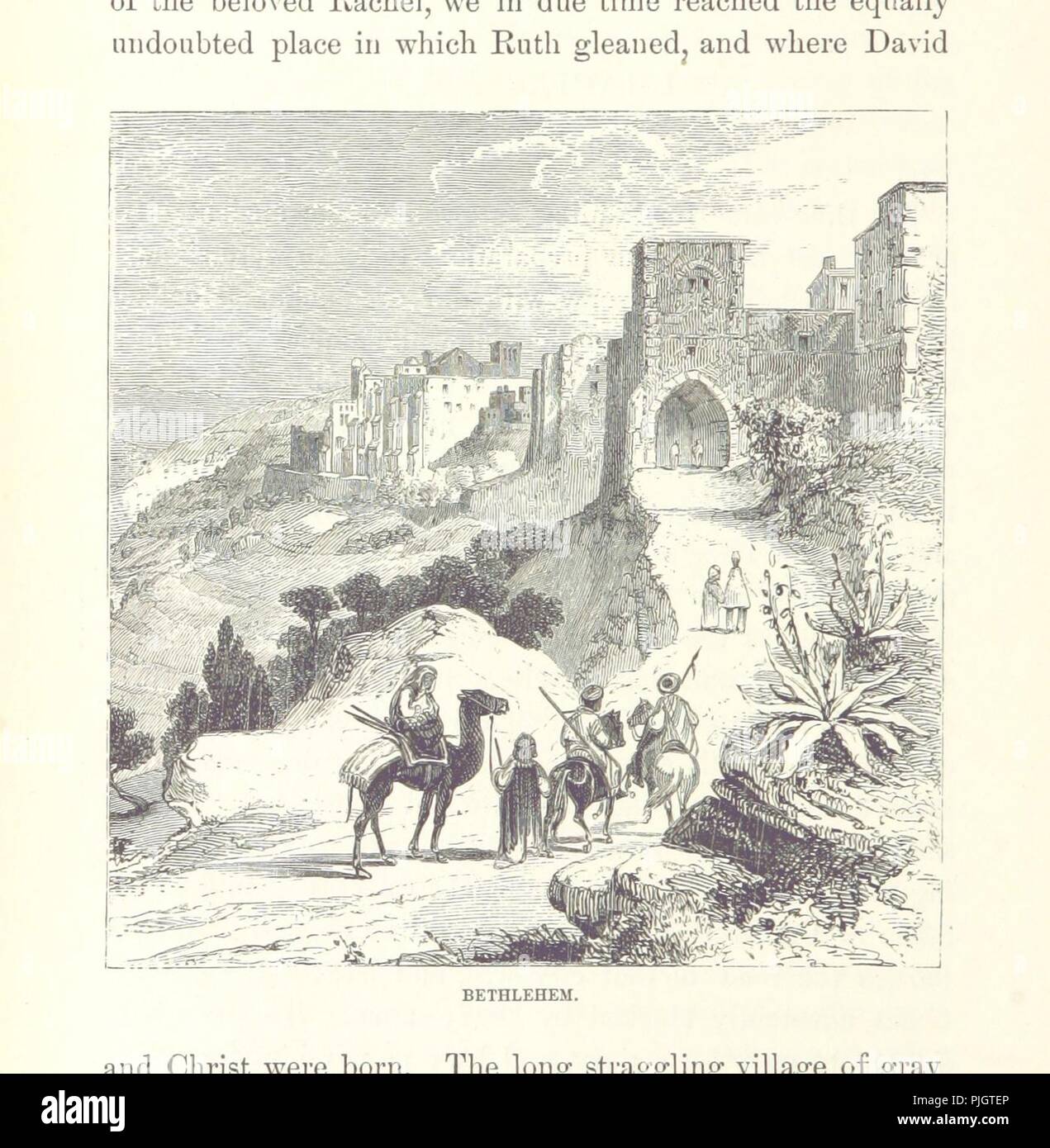Image from page 456 of 'From Egypt to Palestine through Sinai, the ...