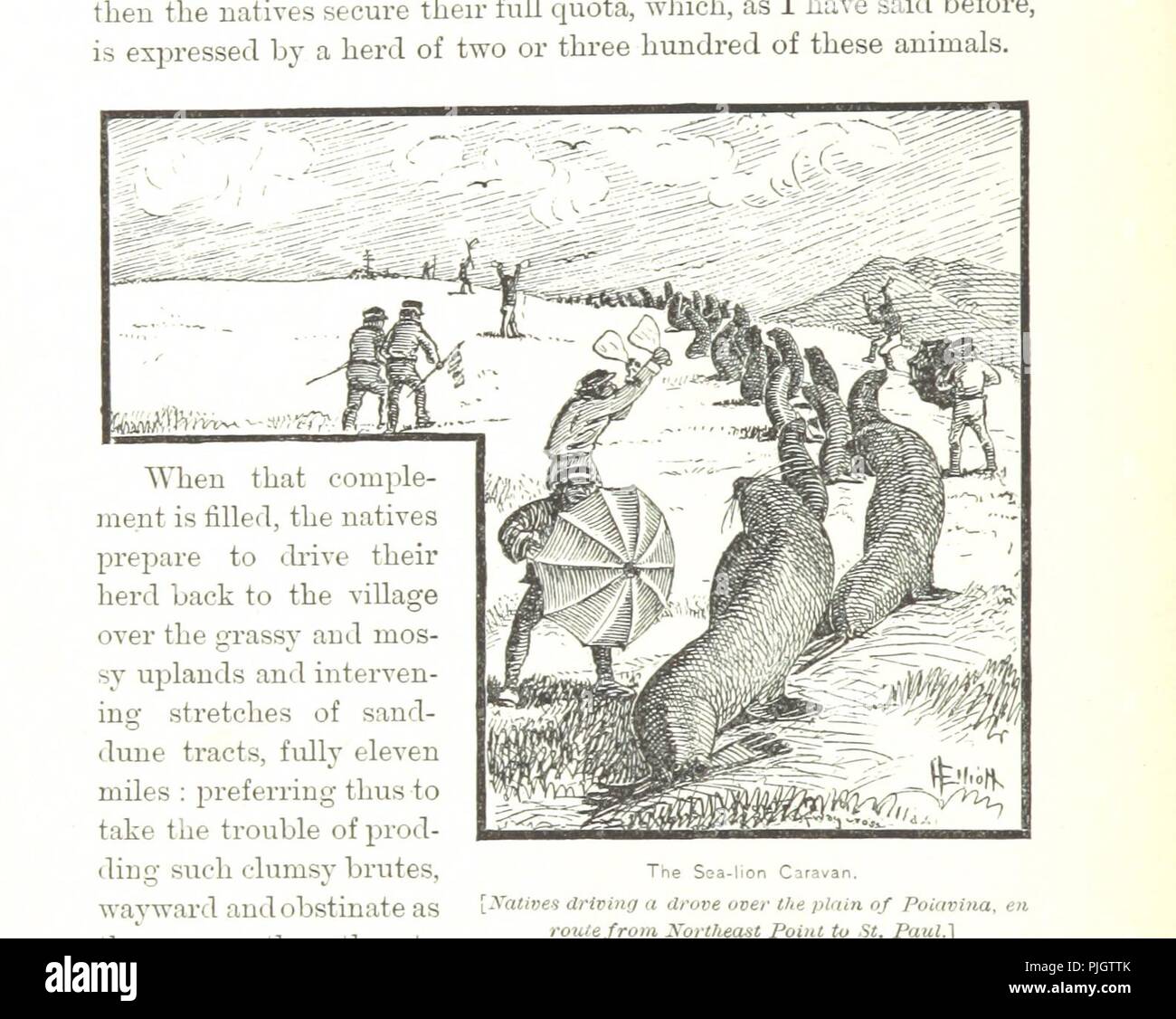 Image from page 464 of 'Our Arctic Province. Alaska and the Seal ...