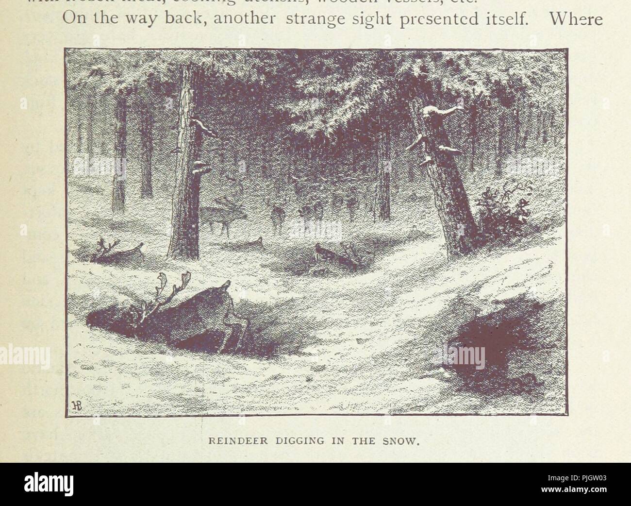 Image from page 467 of 'The Land of the Midnight Sun . New edition ...