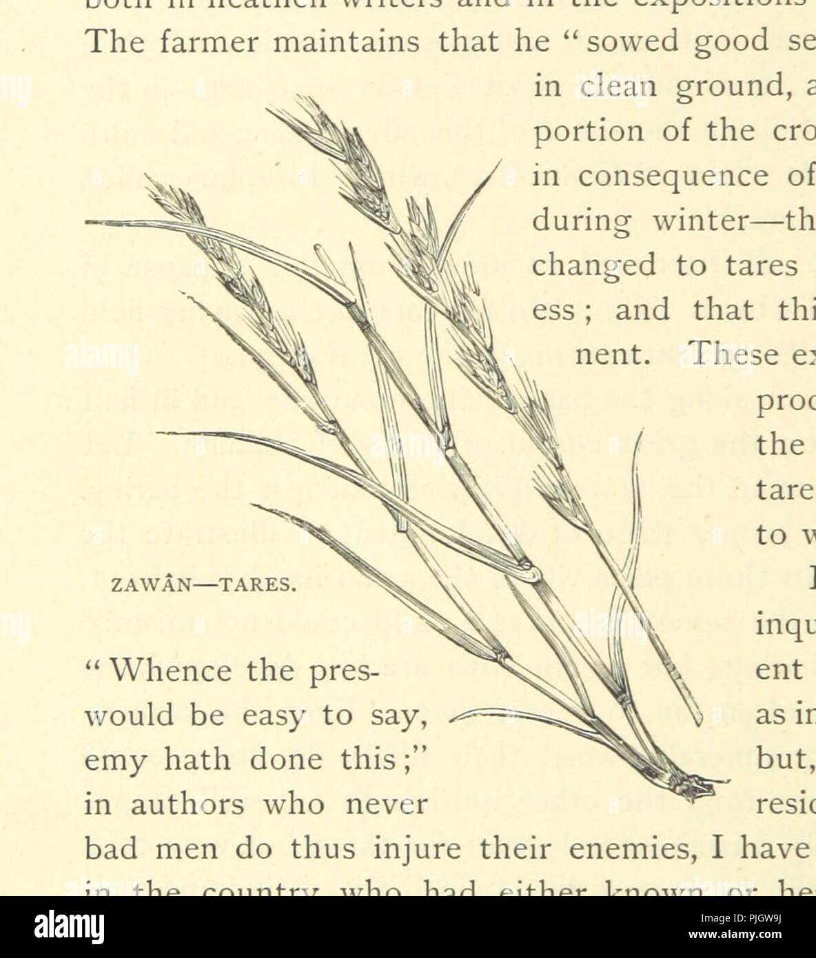 Image from page 474 of '[The Land and the Book; or, Biblical ...
