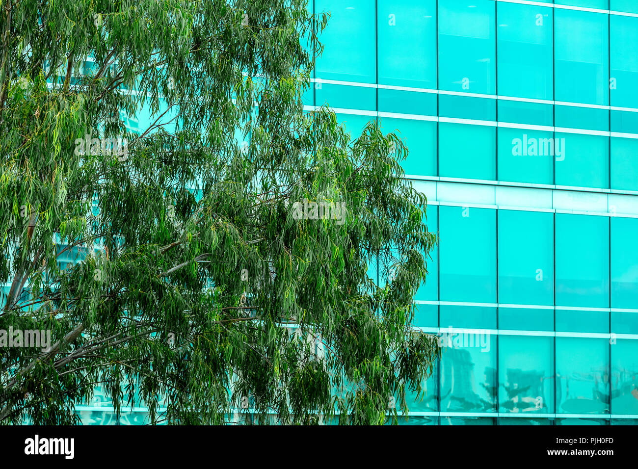Simple, abstract, pastel color modern glassy office building exterior ...