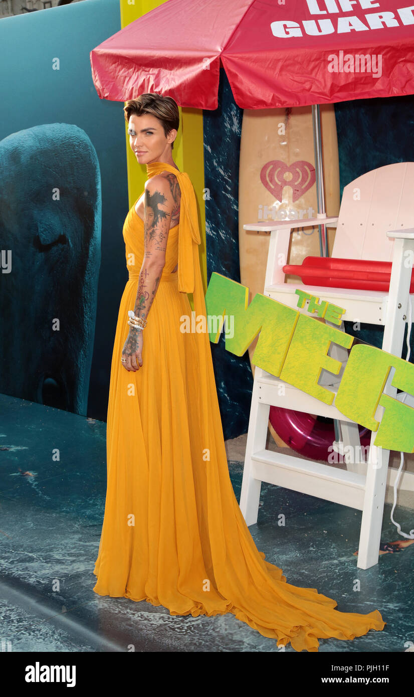 Celebrities attend U.S. Premiere of THE MEG at TCL Chinese Theater ...