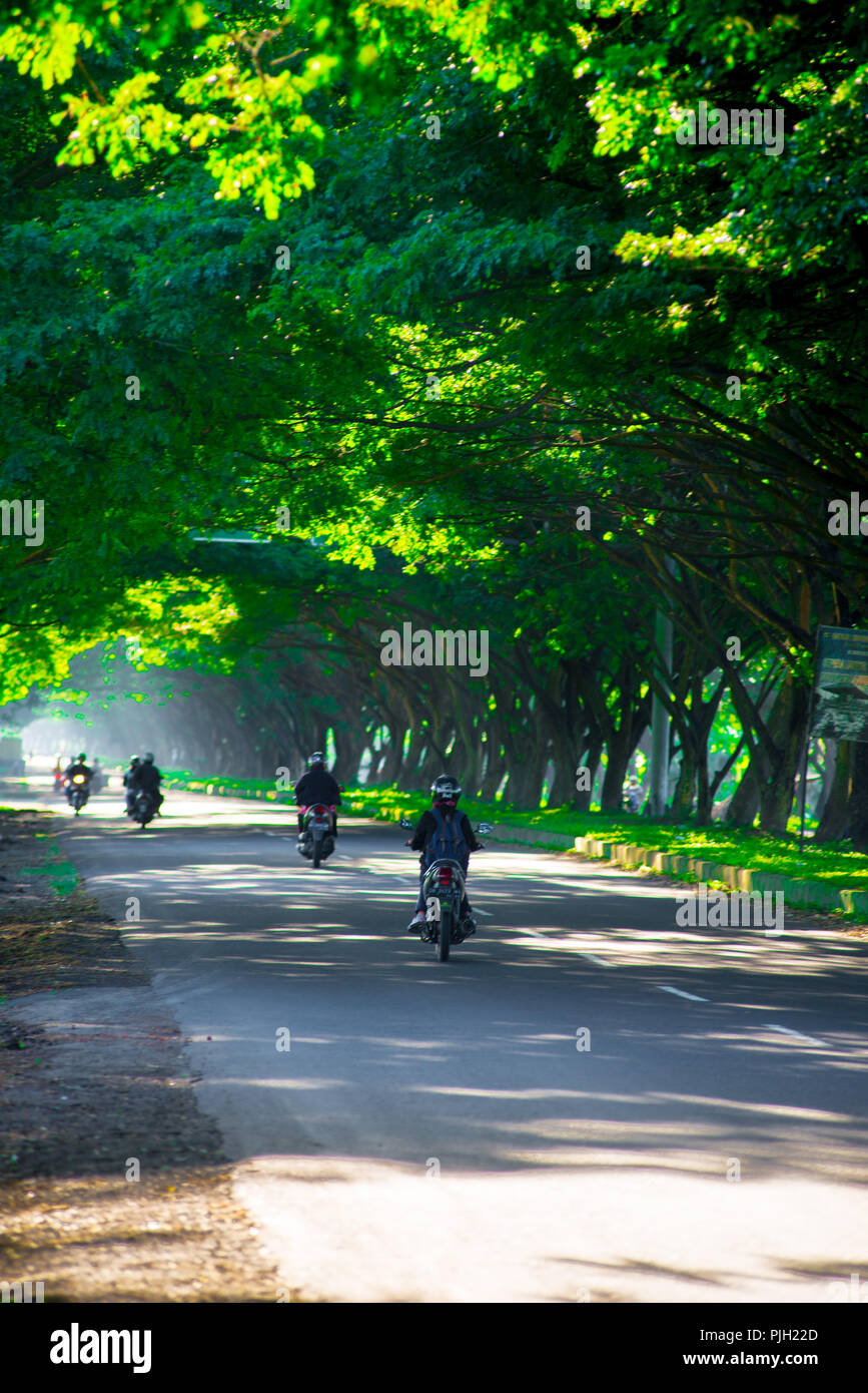 Indonesian men riding bikes in Bali, Indonesia. Jakarta is the biggest ...
