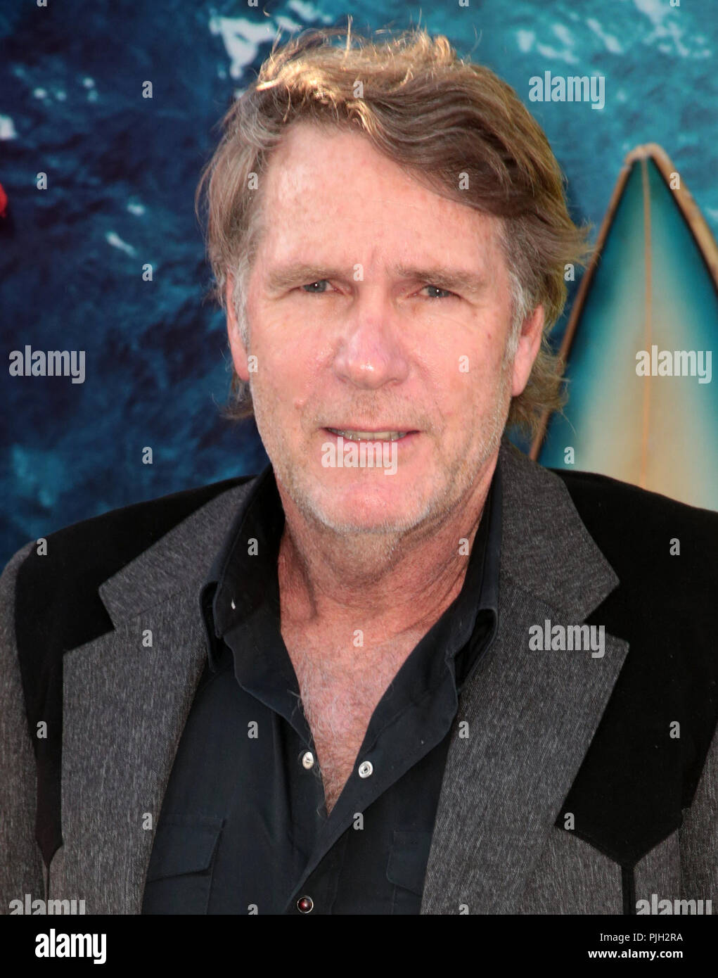 Celebrities attend U.S. Premiere of THE MEG at TCL Chinese Theater ...