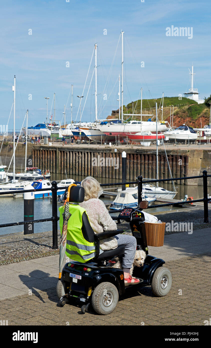 Man on mobility scooter, Watchet, Somerset, England UK Stock Photo - Alamy