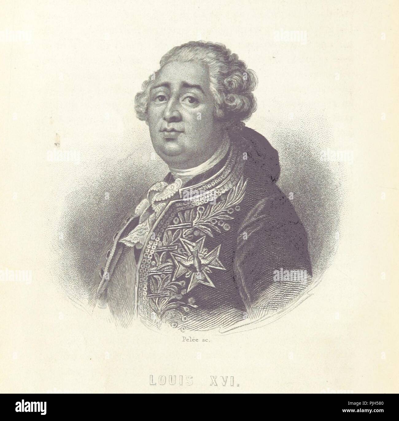 Image from page 946 of '[Histoire de France depuis les temps les plus ...