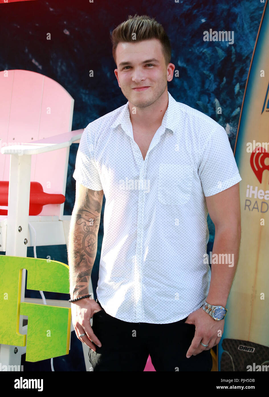 Celebrities attend U.S. Premiere of THE MEG at TCL Chinese Theater ...