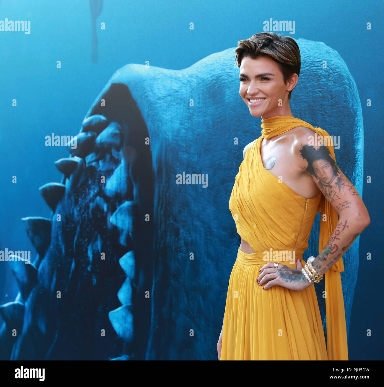 Celebrities attend U.S. Premiere of THE MEG at TCL Chinese Theater ...