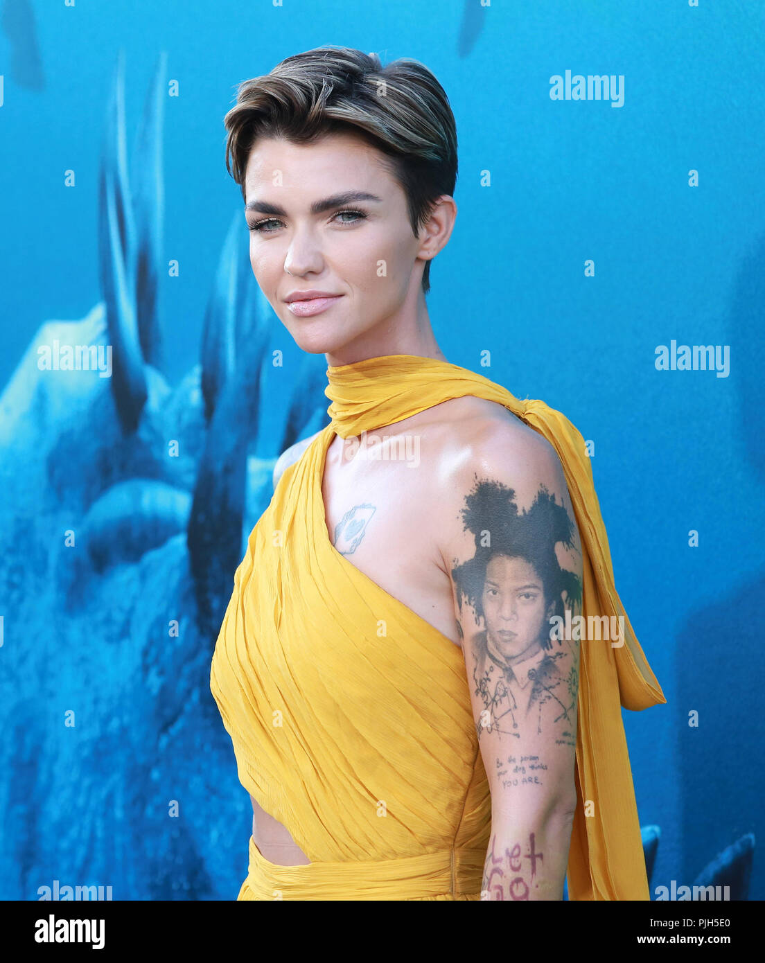 Celebrities attend U.S. Premiere of THE MEG at TCL Chinese Theater ...