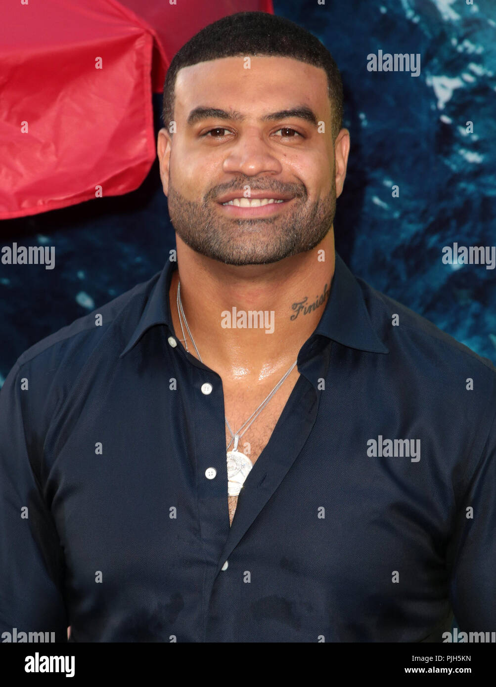 Celebrities attend U.S. Premiere of THE MEG at TCL Chinese Theater ...